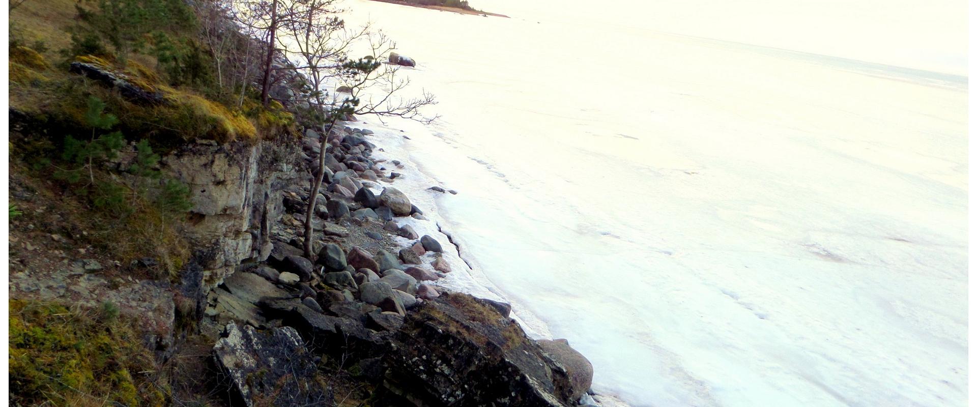 Pulli pank (Oiu pank)