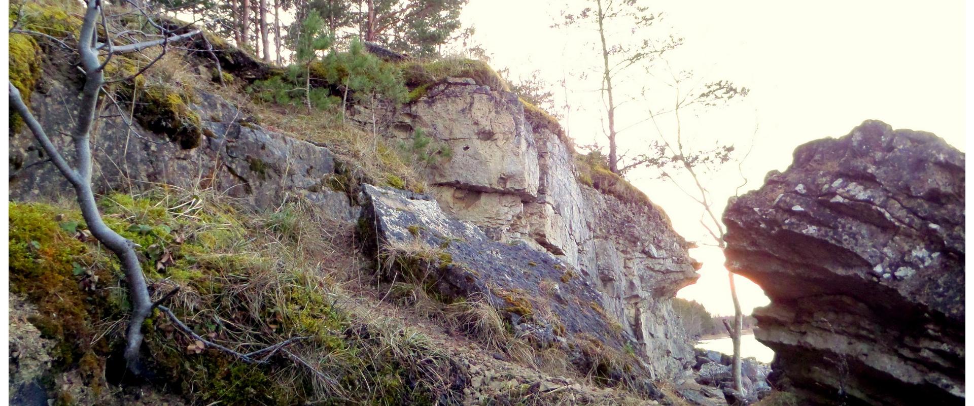 Pulli pank (Oiu pank)