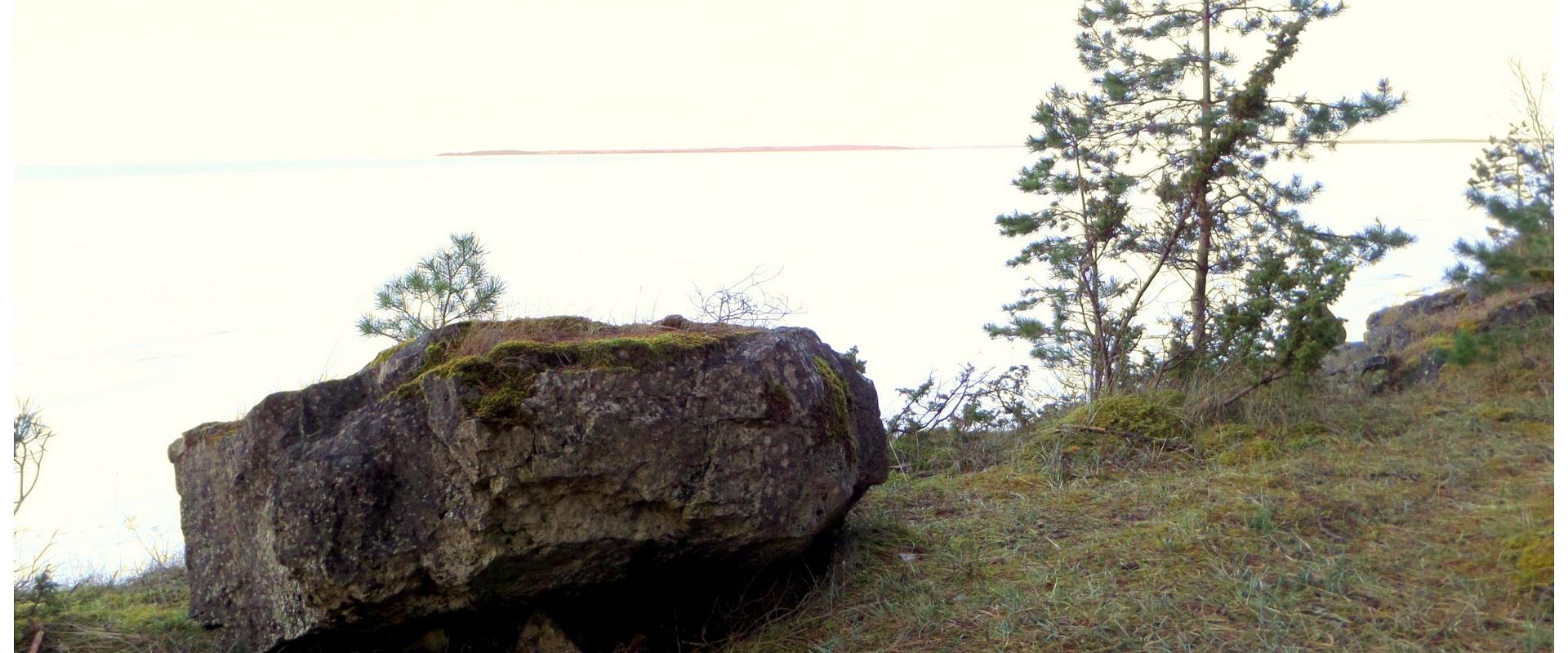 Pulli pank (Oiu pank)