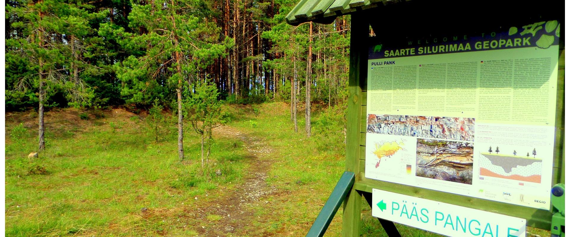 Pulli pank (Oiu pank)