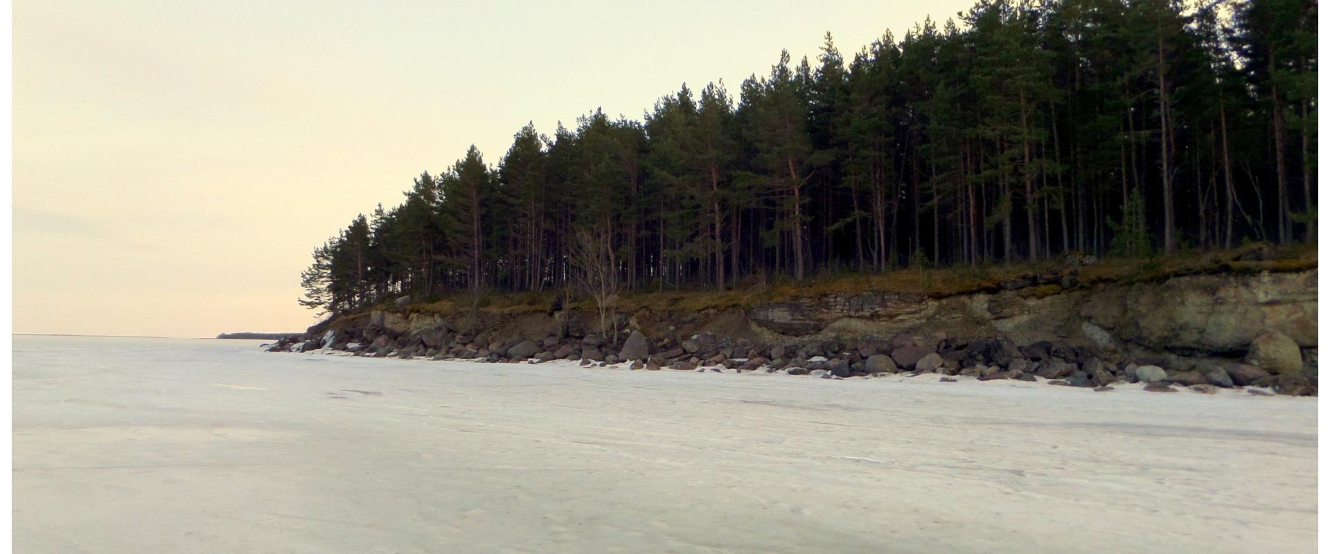 Pulli pank (Oiu pank)