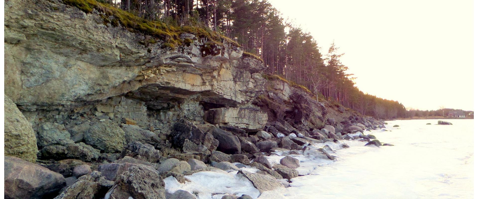 Pulli pank (Oiu pank)