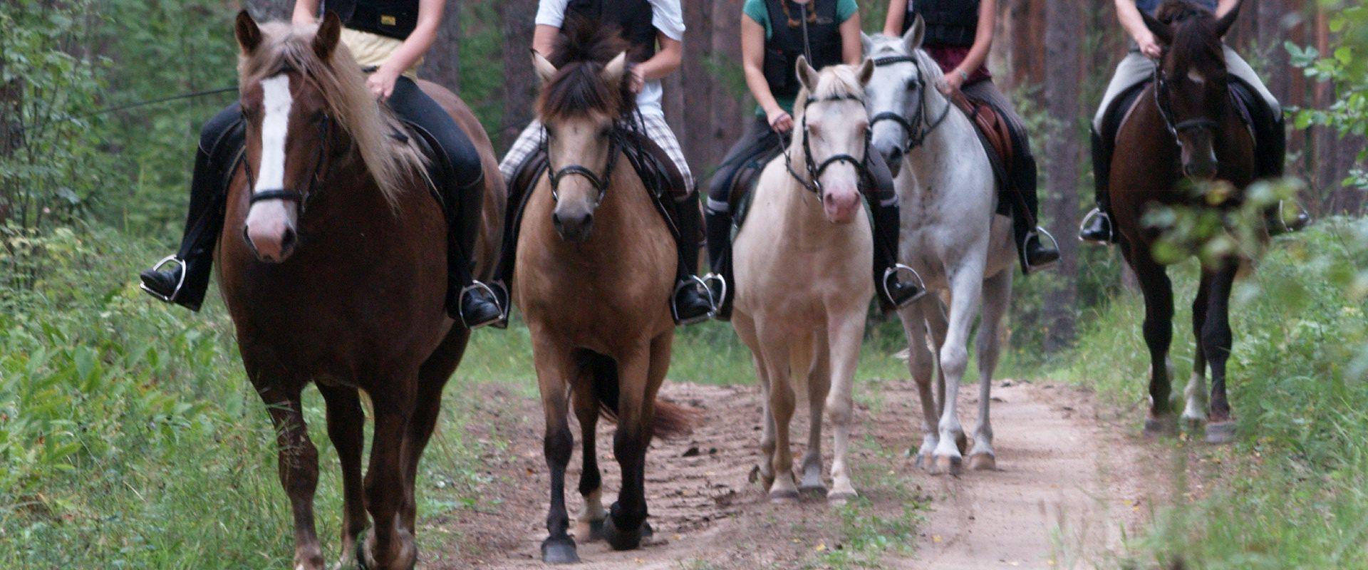 Maria Ratsakeskus - hobustega Maria talu radadel