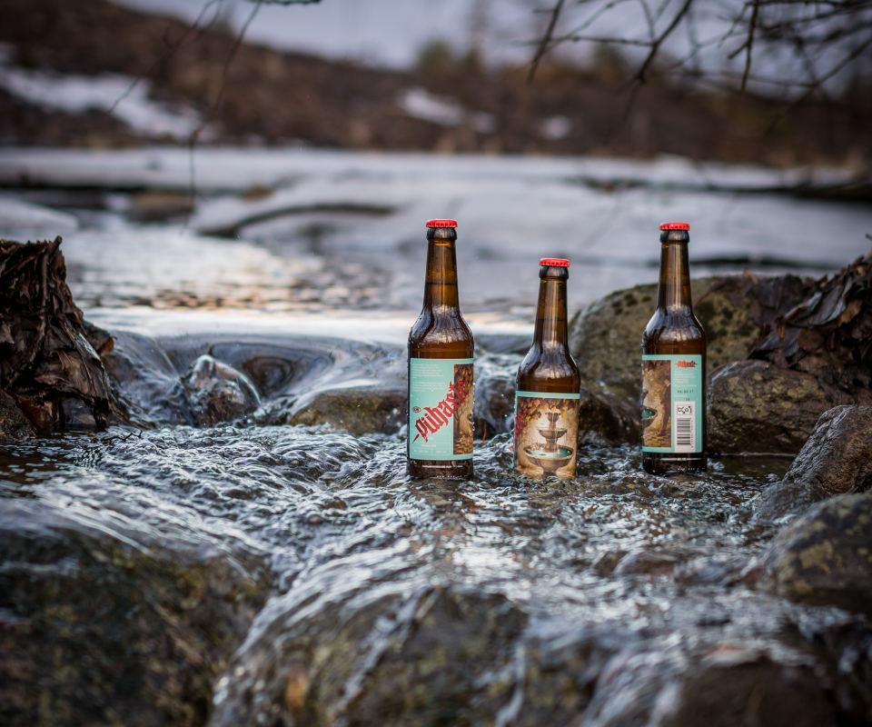 Visit to the Pühaste Brewery Taproom