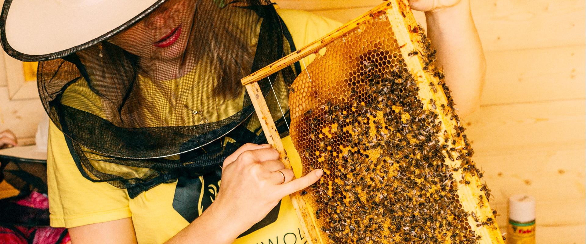 Honey Wolf Apiteraapia ja loodusravi keskuse pood