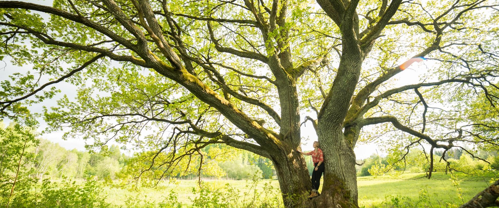 Linnade või külade lähedal asuvad matkarajad