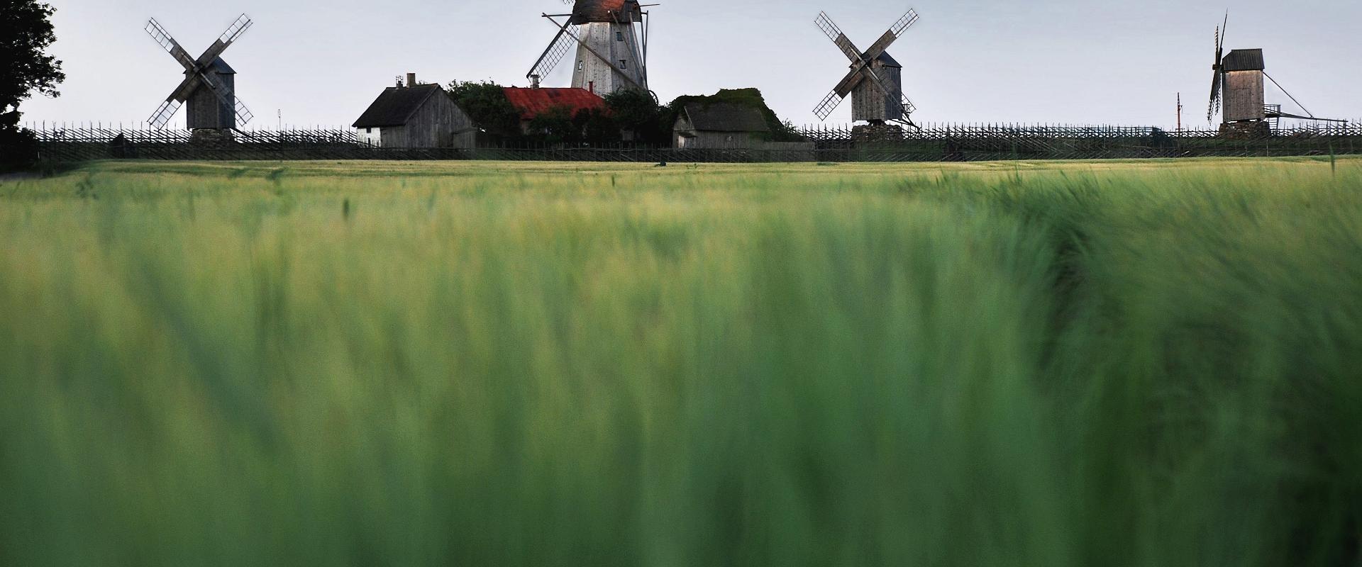 Angla Windmill Mount