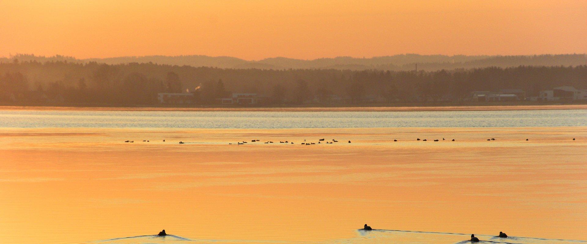 Tamula Lake beach and beach promenade