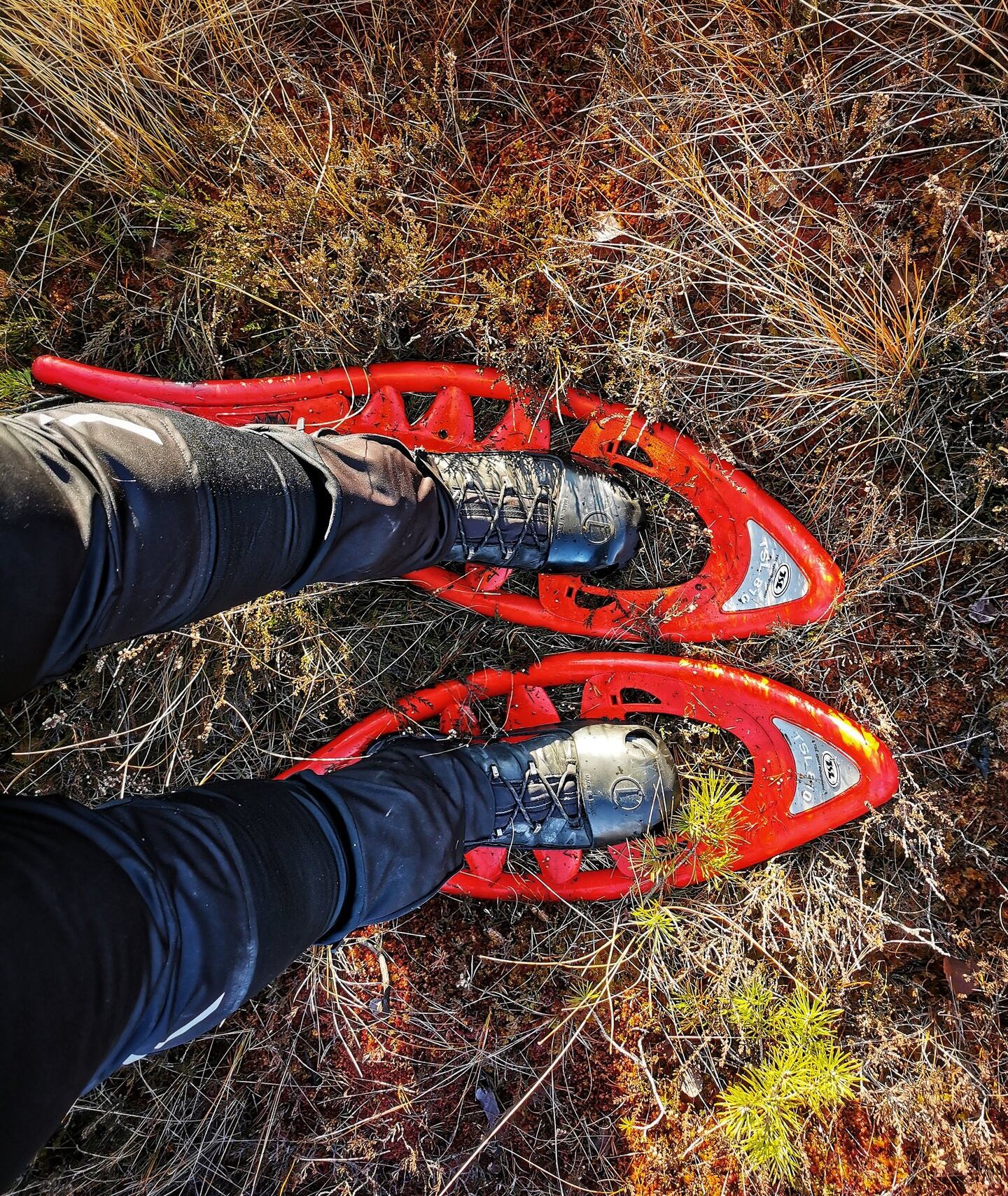 Seikle Vabaks bogshoe hike in Soomaa National Park