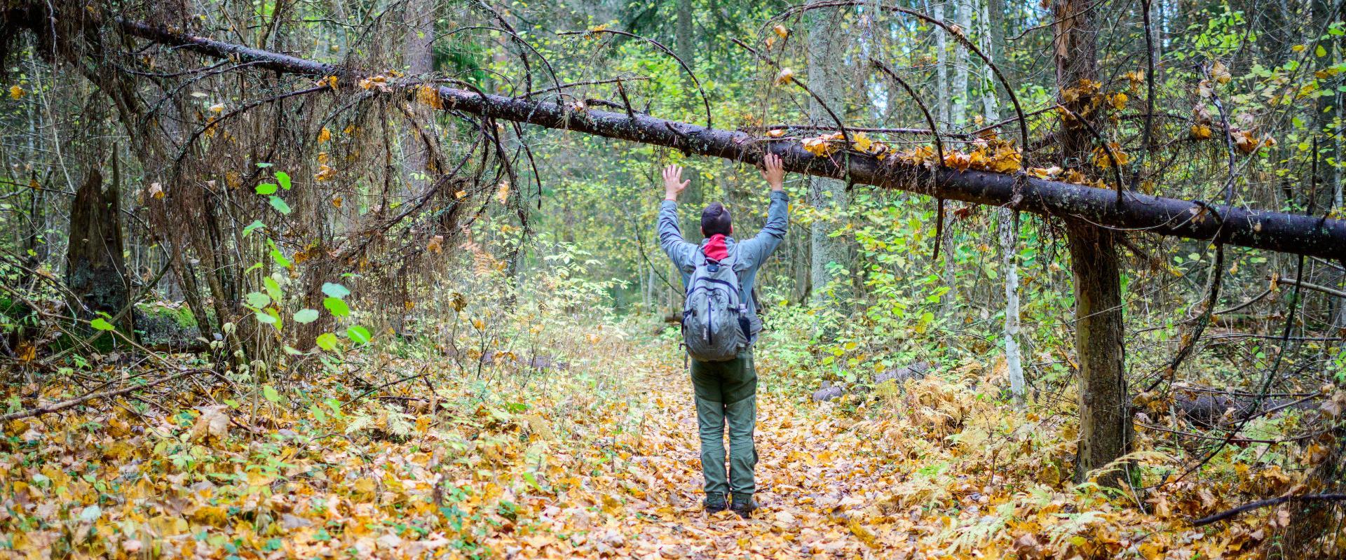 Vällamäe matkarada