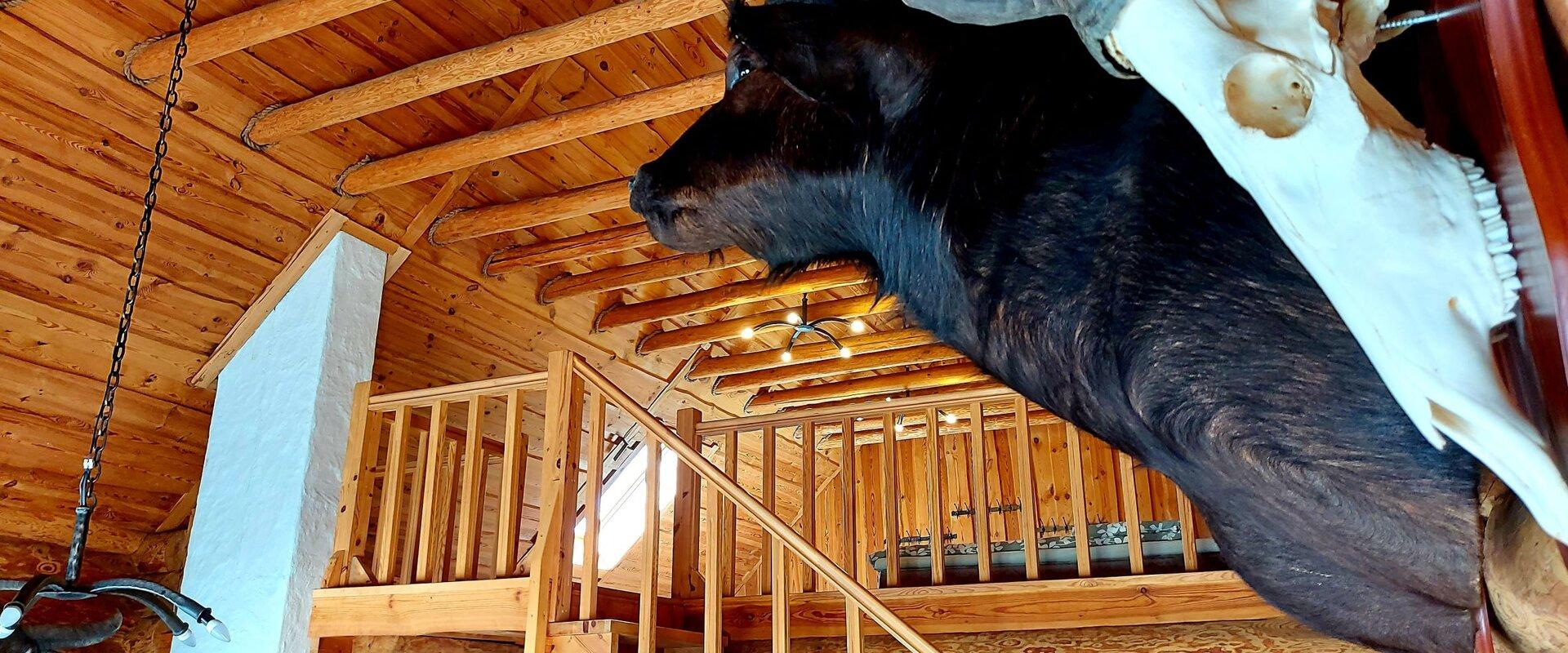 Vene kerisega saun Toosikannu Looduspargis järve kaldal