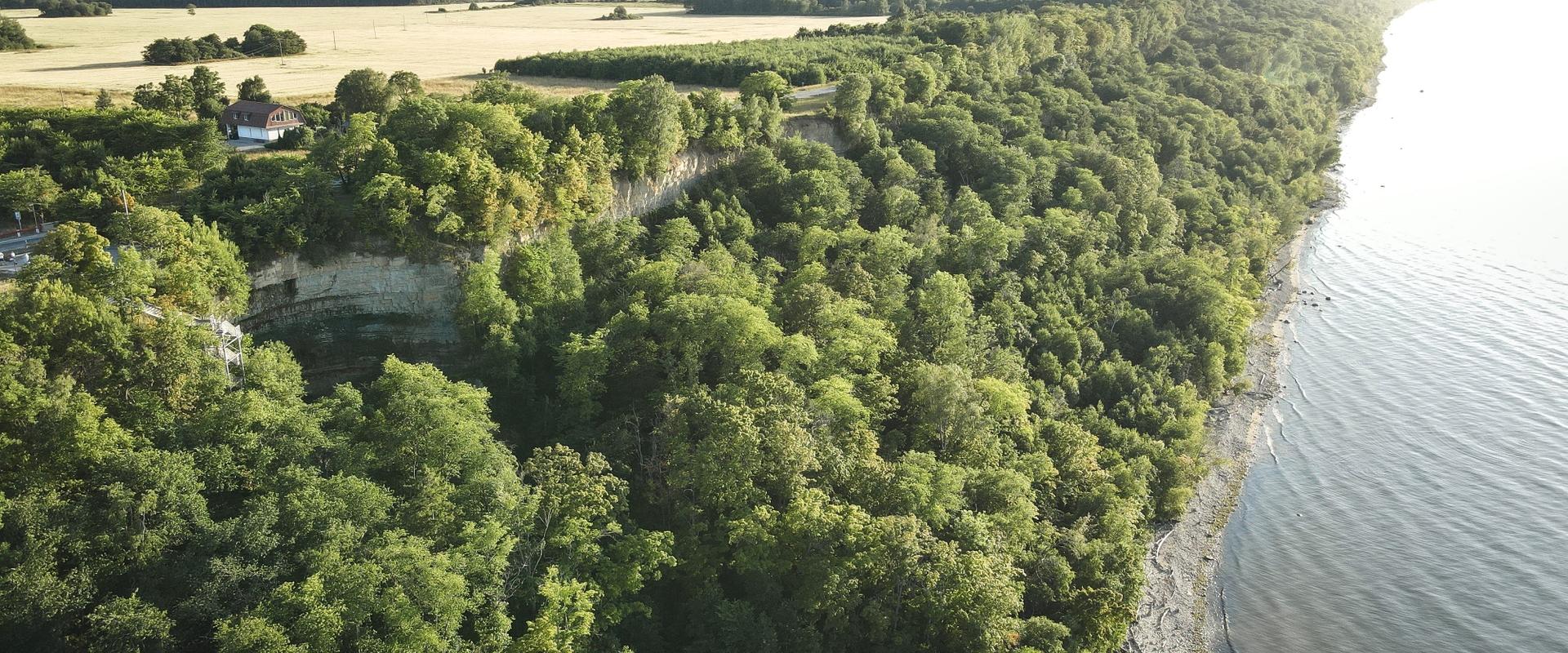 Ontika Limestone cliff