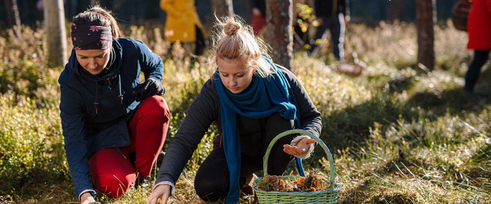 Foraging Hike and Forest Food
