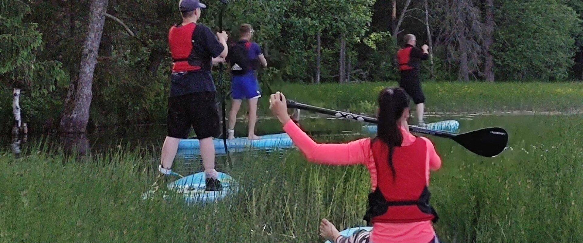 SUP and walking tour in the reedbeds of the Soodla River in Kõrvemaa