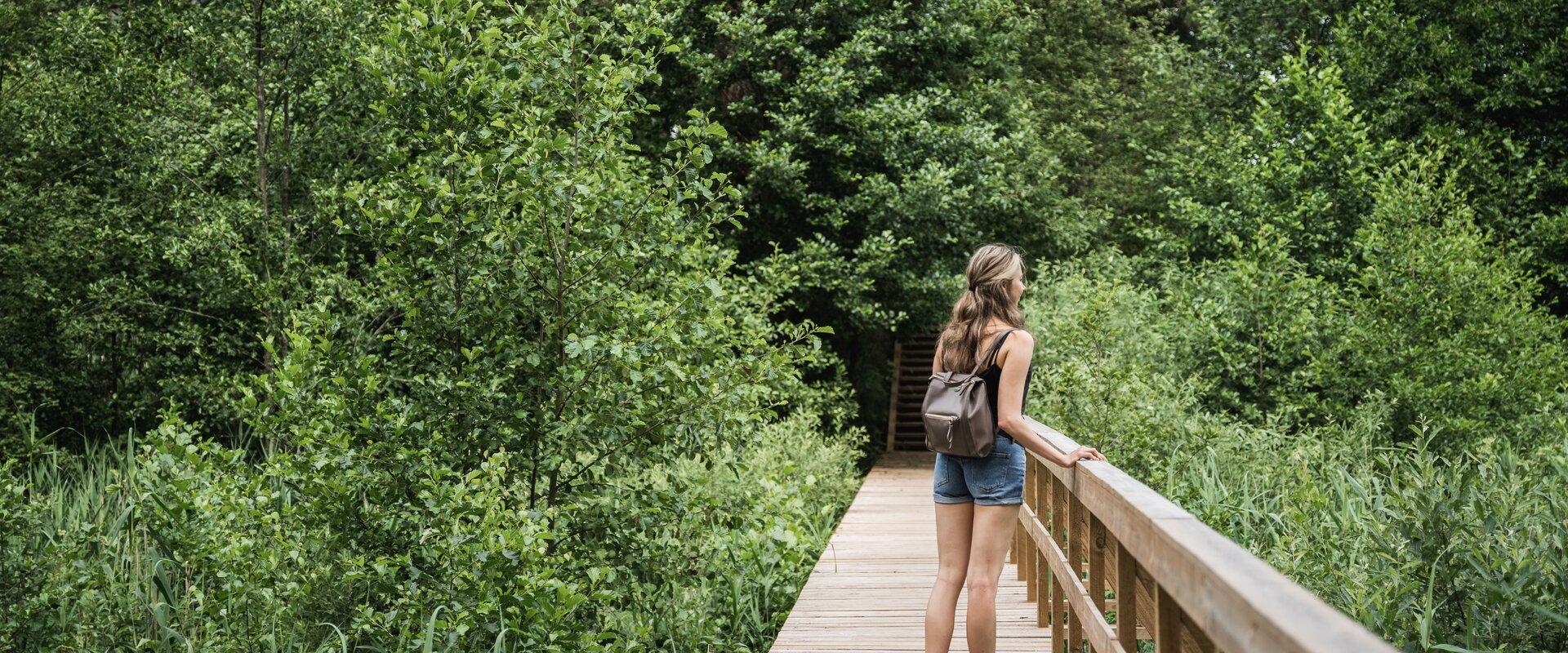 Põhjalaagri matkarada